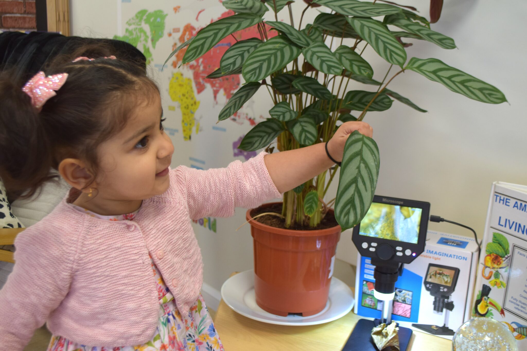 First Steps Nursery and Pre-School – High quality childcare from 6 ...